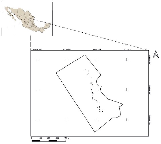 Influencia de las biocostras en el flujo de CO2 en el matorral ...