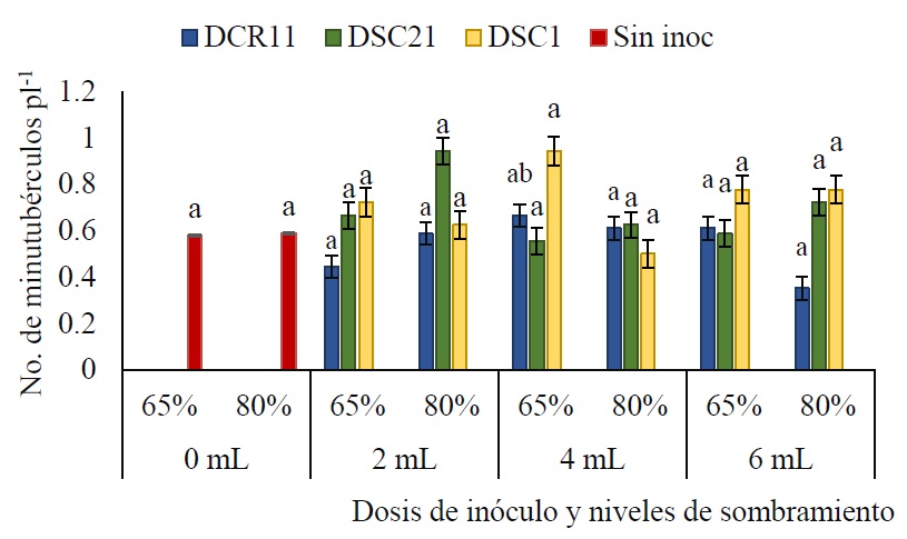 Inducción de la producción de minitubérculos mediante inoculación con ...