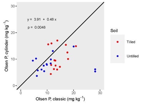 Does Soil Structure Influence Phosphorus Availability in Andosols?