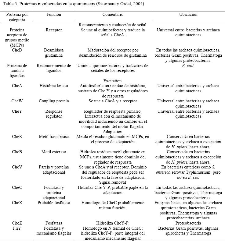 Quimiotaxis bacteriana y flavonoides: perspectivas para el uso de ...